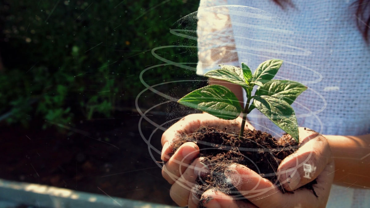 Tsetlin machine - Tsetlin sustainable AI